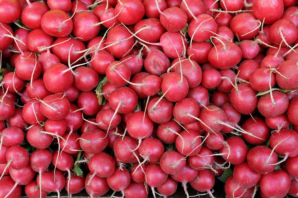 Felix F1 retek termesztése - Kertészkedj